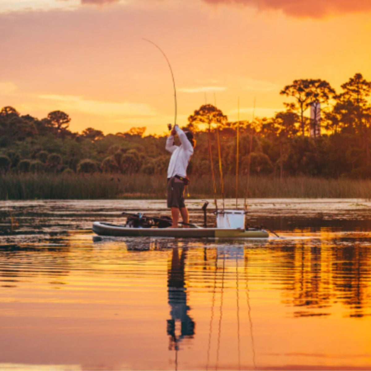 Fishing – Gravity Coalition